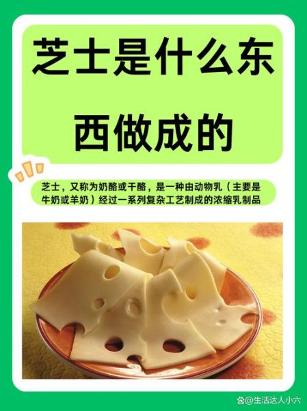 自制芝士怎么做_自制芝士需要哪些材料-第3张图片-山城妙识