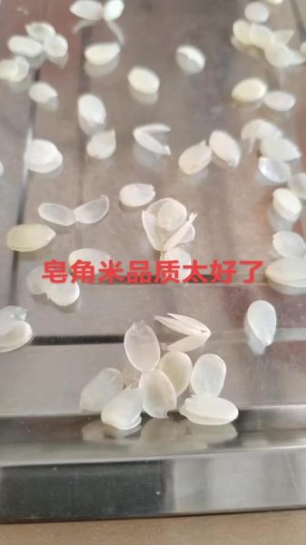 皂角米图片真实图片_皂角米真假辨别方法-第3张图片-山城妙识 皂角米图片真实图片_皂角米真假辨别方法-第3张图片-山城妙识