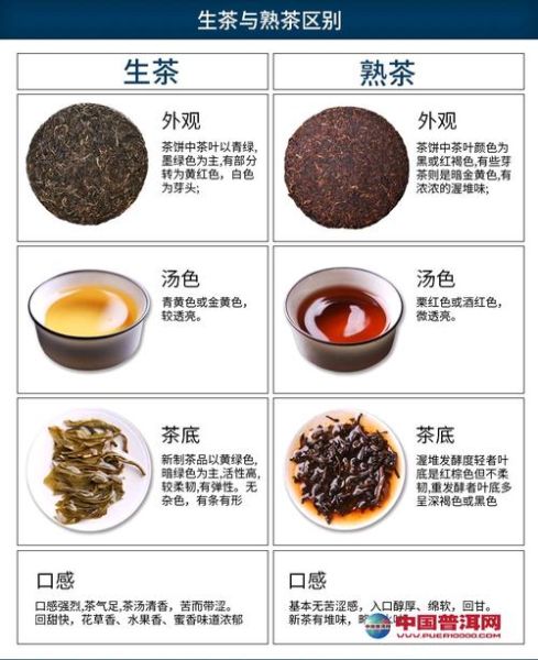 普洱茶属于什么茶_普洱茶是红茶还是黑茶-第2张图片-山城妙识 普洱茶属于什么茶_普洱茶是红茶还是黑茶-第2张图片-山城妙识