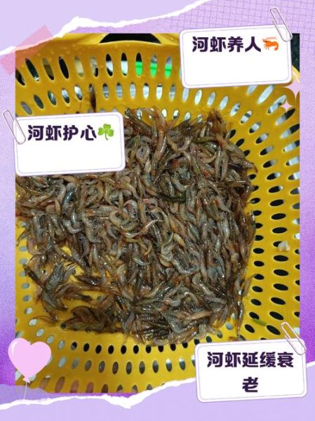 野生小河虾怎么做好吃_野生小河虾的营养价值-第1张图片-山城妙识 野生小河虾怎么做好吃_野生小河虾的营养价值-第1张图片-山城妙识