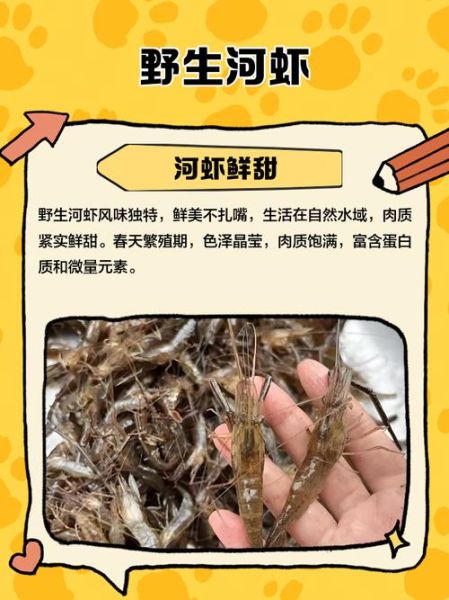 野生小河虾怎么做好吃_野生小河虾的营养价值-第3张图片-山城妙识 野生小河虾怎么做好吃_野生小河虾的营养价值-第3张图片-山城妙识