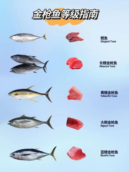 金枪鱼口感像什么肉_和牛肉对比-第3张图片-山城妙识 金枪鱼口感像什么肉_和牛肉对比-第3张图片-山城妙识