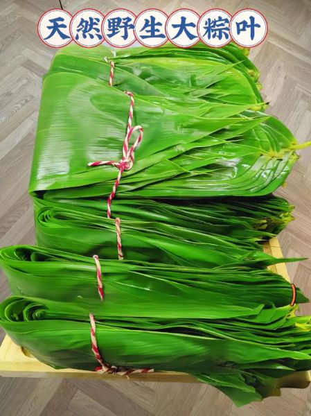 包粽子需要哪些材料_粽子叶选哪种最好-第2张图片-山城妙识