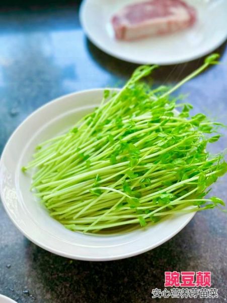 豌豆苗图片_豌豆苗怎么种-第2张图片-山城妙识 豌豆苗图片_豌豆苗怎么种-第2张图片-山城妙识