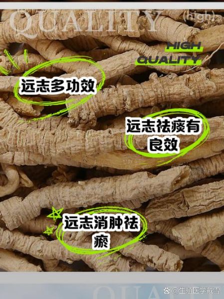 炙远志的功效与作用_炙远志怎么吃效果最好-第3张图片-山城妙识 炙远志的功效与作用_炙远志怎么吃效果最好-第3张图片-山城妙识