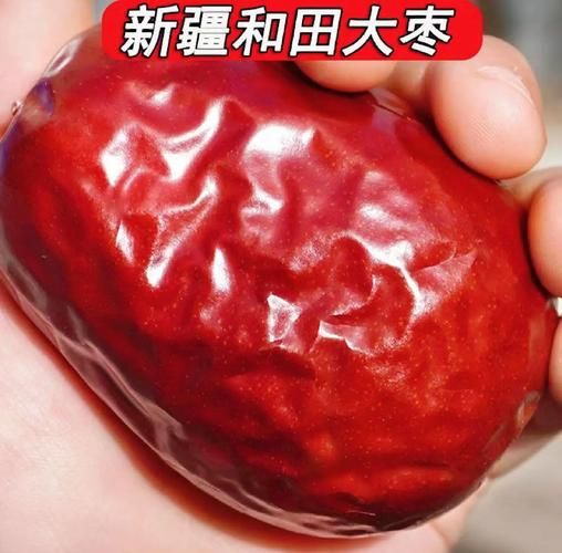 和田大枣多少钱一斤_和田大枣价格行情-第2张图片-山城妙识 和田大枣多少钱一斤_和田大枣价格行情-第2张图片-山城妙识