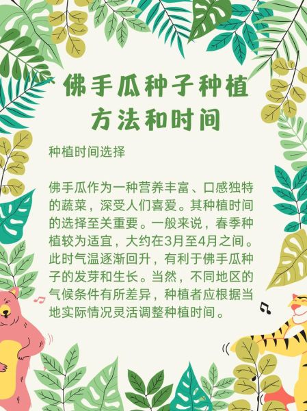 佛手瓜发芽了怎么种_佛手瓜发芽后多久能移栽-第3张图片-山城妙识