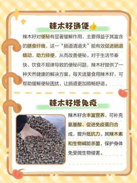 辣木籽的功效与作用及禁忌_什么人不能吃辣木籽-第2张图片-山城妙识