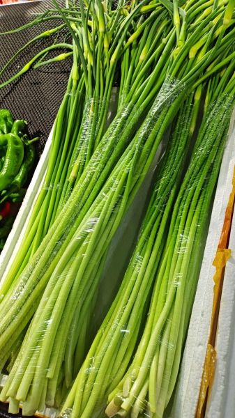 蒜薹价格多少钱一斤_蒜薹价格走势分析-第2张图片-山城妙识