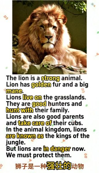 狮子英语怎么样_狮子英语靠谱吗-第1张图片-山城妙识