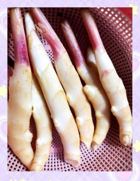 嫩姜怎么腌制好吃_嫩姜腌制方法大全-第3张图片-山城妙识 嫩姜怎么腌制好吃_嫩姜腌制方法大全-第3张图片-山城妙识