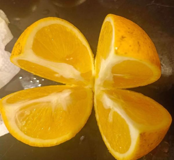 香橙怎么保存不会坏_香橙可以放多久-第1张图片-山城妙识 香橙怎么保存不会坏_香橙可以放多久-第1张图片-山城妙识