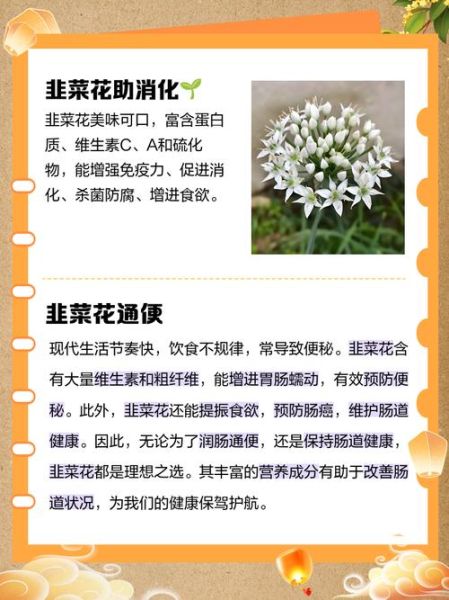 韭菜花的花能吃吗_要不要摘掉-第1张图片-山城妙识 韭菜花的花能吃吗_要不要摘掉-第1张图片-山城妙识