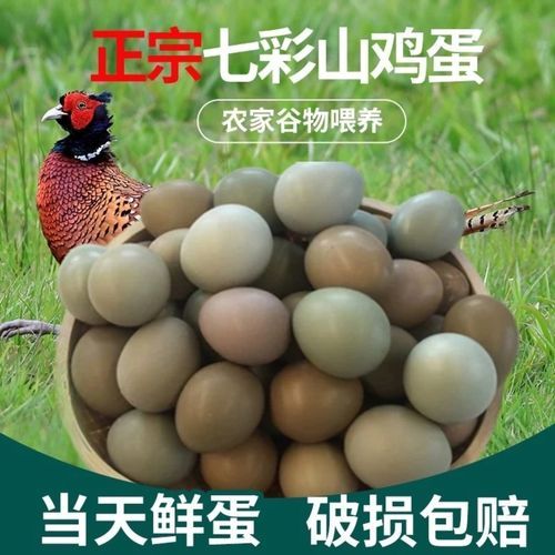七彩山鸡蛋多少钱一斤_七彩山鸡蛋营养价值-第1张图片-山城妙识 七彩山鸡蛋多少钱一斤_七彩山鸡蛋营养价值-第1张图片-山城妙识