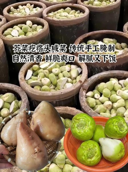 山东酱芥菜疙瘩怎么腌制_正宗做法-第2张图片-山城妙识