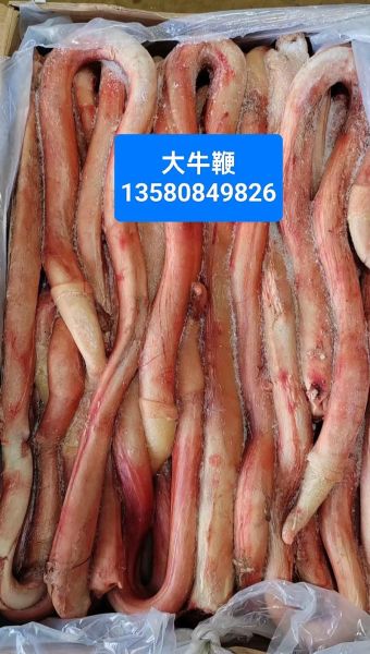 牛鞭为什么那么长_牛鞭长度受什么影响-第1张图片-山城妙识 牛鞭为什么那么长_牛鞭长度受什么影响-第1张图片-山城妙识