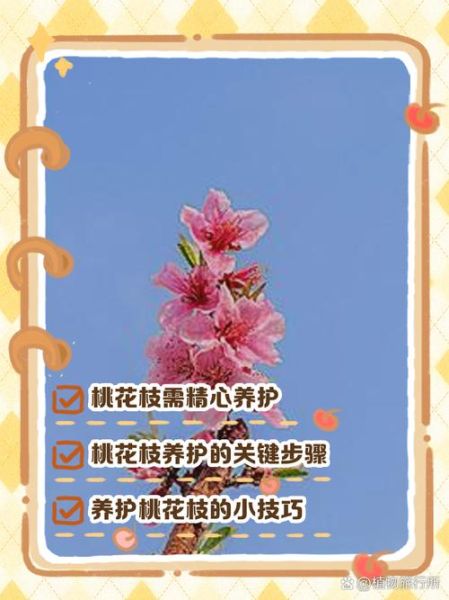 花枝app怎么玩_花枝app靠谱吗-第1张图片-山城妙识