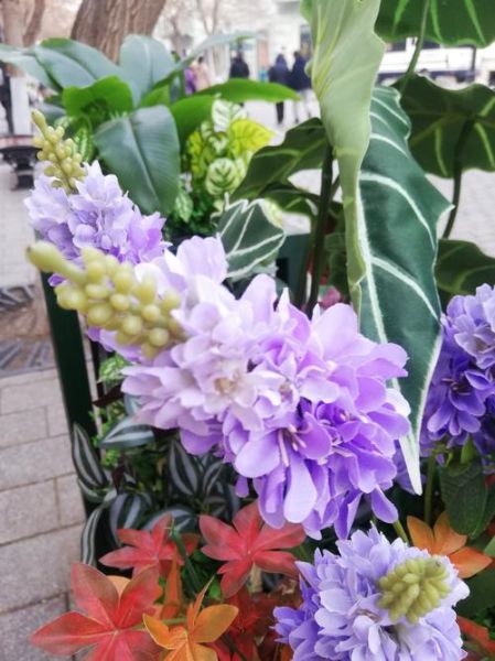 花枝app怎么玩_花枝app靠谱吗-第3张图片-山城妙识