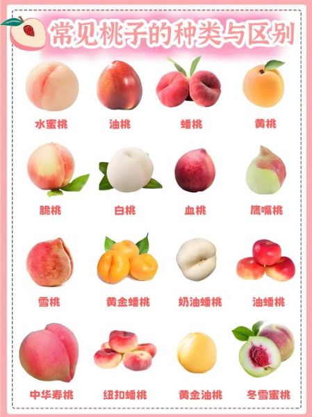 桃子是酸性还是碱性_桃子吃多了会胃酸吗-第1张图片-山城妙识