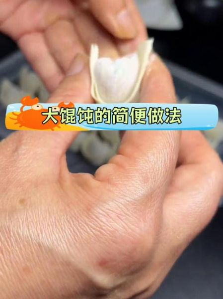 馄饨的包法图解最简单_十种新手也能学会-第2张图片-山城妙识