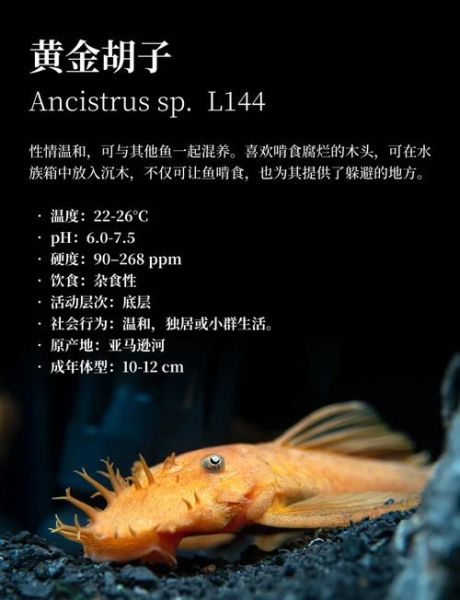 胡子鱼怎么做好吃_胡子鱼最简单的家常做法-第2张图片-山城妙识