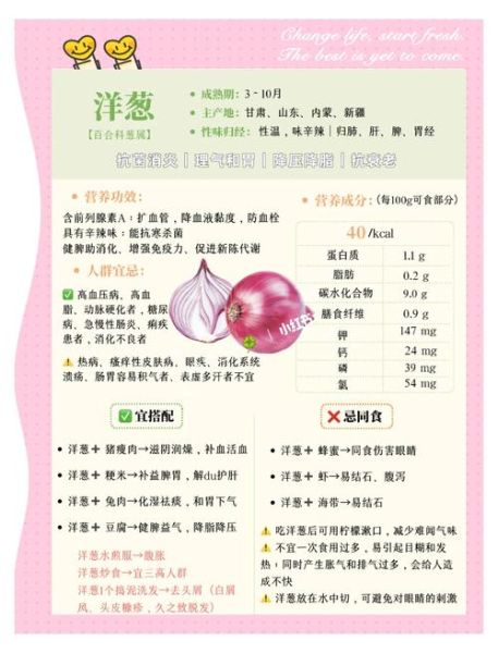 洋葱浓汤怎么熬才浓稠_洋葱浓汤需要炒洋葱吗-第2张图片-山城妙识 洋葱浓汤怎么熬才浓稠_洋葱浓汤需要炒洋葱吗-第2张图片-山城妙识