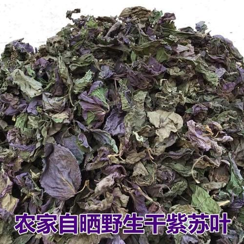 苏子叶怎么保存到冬天_苏子叶冷冻还是晒干好-第2张图片-山城妙识 苏子叶怎么保存到冬天_苏子叶冷冻还是晒干好-第2张图片-山城妙识
