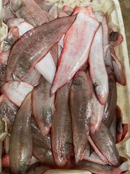 龙利鱼多少钱一斤2020_龙利鱼价格走势-第3张图片-山城妙识 龙利鱼多少钱一斤2020_龙利鱼价格走势-第3张图片-山城妙识