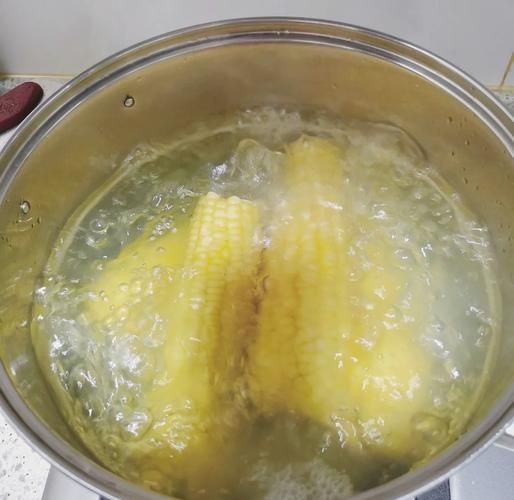 玉米煮40分钟可以吗_玉米煮多久才熟-第2张图片-山城妙识 玉米煮40分钟可以吗_玉米煮多久才熟-第2张图片-山城妙识