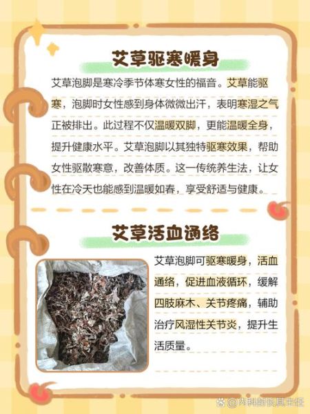 艾草的功效有哪些_艾草泡脚有什么作用-第1张图片-山城妙识