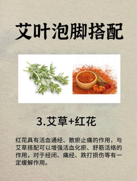艾草的功效有哪些_艾草泡脚有什么作用-第3张图片-山城妙识