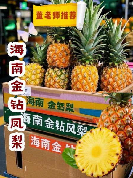 金菠萝是凤梨吗_区别与选购指南-第2张图片-山城妙识