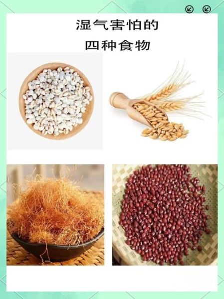 湿气的克星是什么_湿气重吃什么最快好-第2张图片-山城妙识