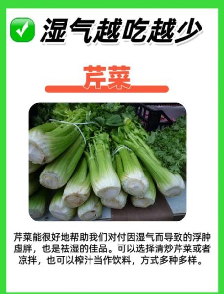 湿气的克星是什么_湿气重吃什么最快好-第3张图片-山城妙识