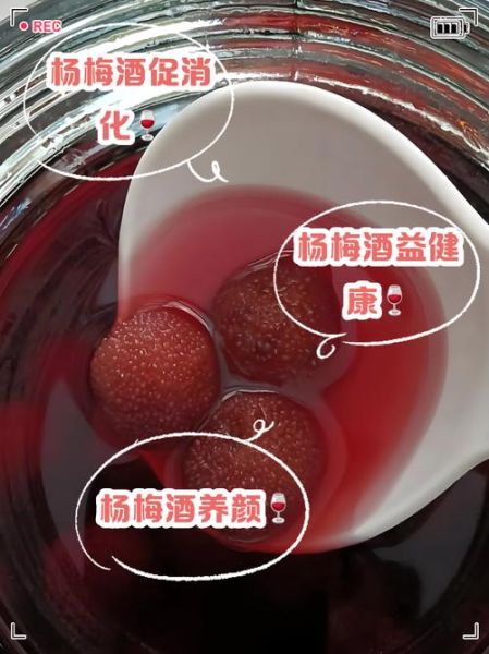 泡杨梅酒可以放枸杞吗_杨梅酒加枸杞的功效与禁忌-第1张图片-山城妙识