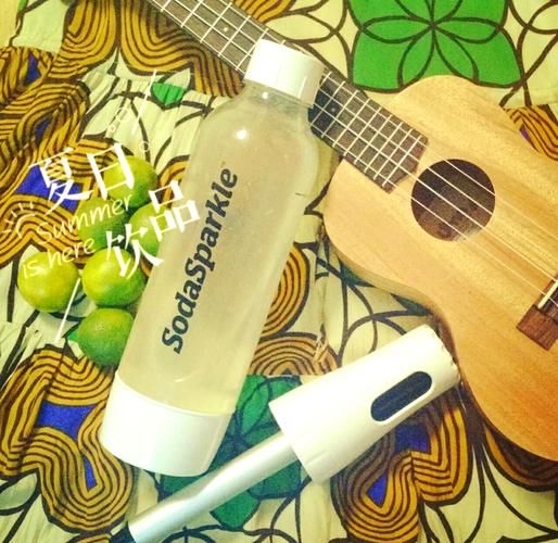 苏打水配方比例_自制苏打水怎么做-第3张图片-山城妙识