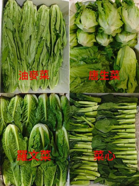 蔬菜批发赚钱吗_蔬菜批发利润怎么样-第1张图片-山城妙识