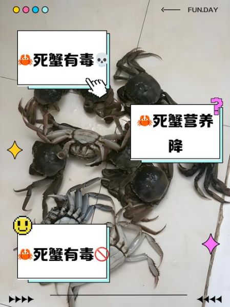 螃蟹死了多久不能吃_死蟹多久吃安全-第2张图片-山城妙识 螃蟹死了多久不能吃_死蟹多久吃安全-第2张图片-山城妙识