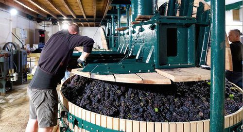 葡萄酒怎么酿_葡萄酒制作视频全过程-第1张图片-山城妙识