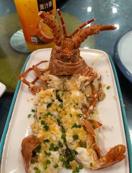 死了6个小时的波龙还能吃吗_如何判断波龙是否变质-第1张图片-山城妙识 死了6个小时的波龙还能吃吗_如何判断波龙是否变质-第1张图片-山城妙识