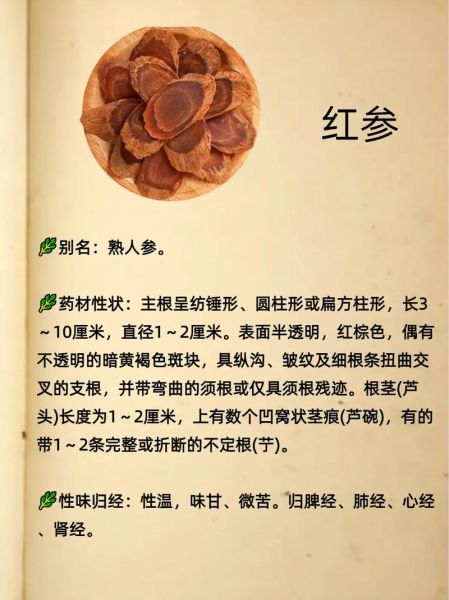 红参适合什么人吃_红参的功效与作用适合哪些人-第3张图片-山城妙识 红参适合什么人吃_红参的功效与作用适合哪些人-第3张图片-山城妙识