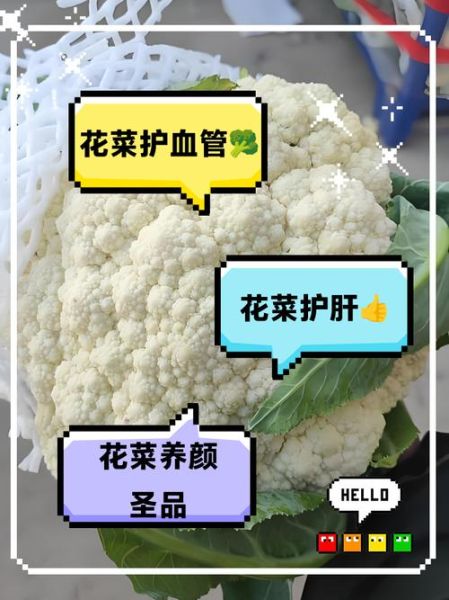 香花菜孕妇能吃吗_香花菜的功效与作用-第1张图片-山城妙识