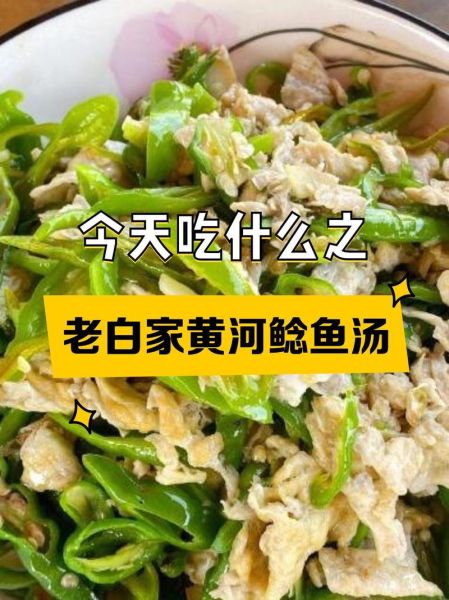 炖鲶鱼汤的做法_鲶鱼汤怎么炖不腥-第2张图片-山城妙识