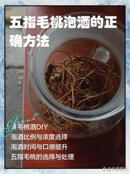 五指毛桃根泡酒的功效与作用_五指毛桃根泡酒怎么泡-第3张图片-山城妙识