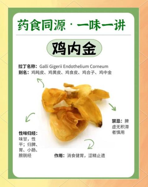 炒鸡内金的功效与作用_炒鸡内金的禁忌有哪些-第1张图片-山城妙识 炒鸡内金的功效与作用_炒鸡内金的禁忌有哪些-第1张图片-山城妙识