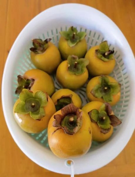 自制柿子干的做法_如何保存不返潮-第3张图片-山城妙识 自制柿子干的做法_如何保存不返潮-第3张图片-山城妙识