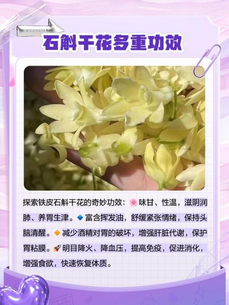 铁皮枫斗怎么泡水喝_铁皮枫斗泡水一次放多少-第2张图片-山城妙识