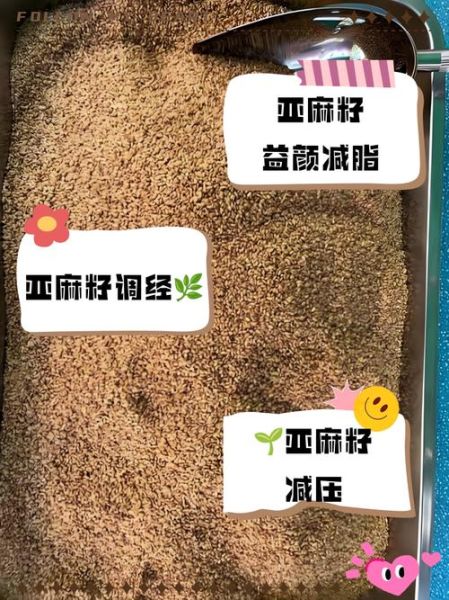 亚麻子的功效与作用_亚麻子怎么吃效果最好-第3张图片-山城妙识