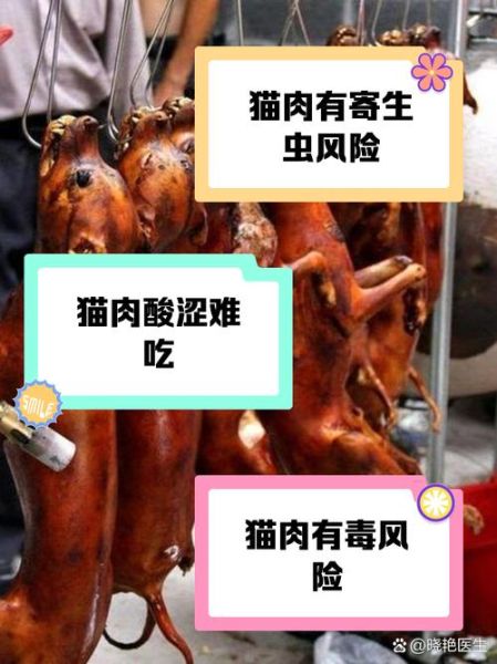 猫肉能吃吗_猫肉食用禁忌-第1张图片-山城妙识