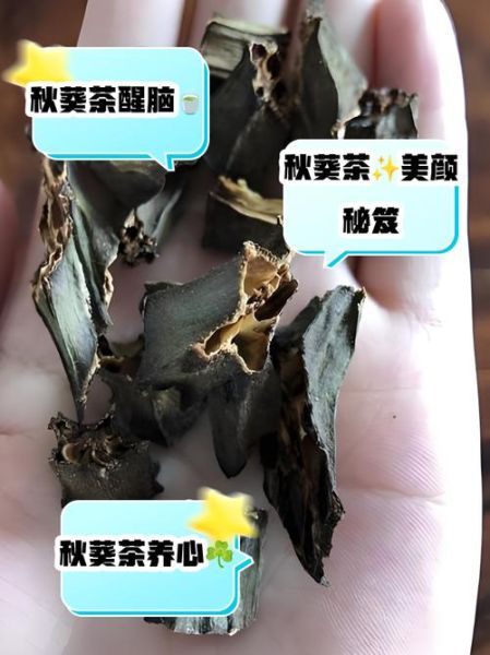 黄秋葵花泡水喝的功效与禁忌_适合什么人喝-第3张图片-山城妙识 黄秋葵花泡水喝的功效与禁忌_适合什么人喝-第3张图片-山城妙识